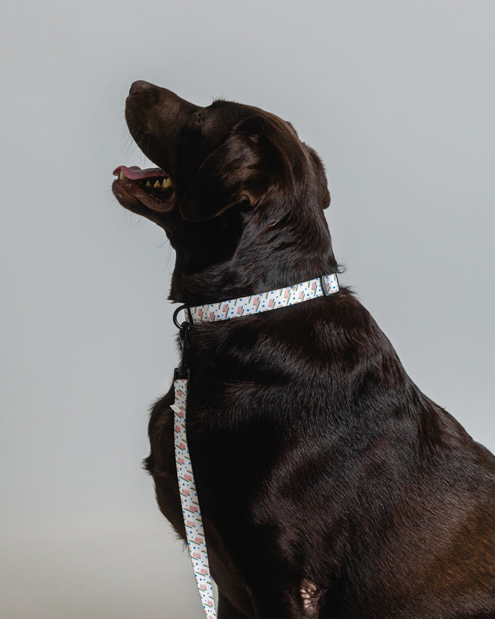 Milo&Me - Petswear – Milo & Me